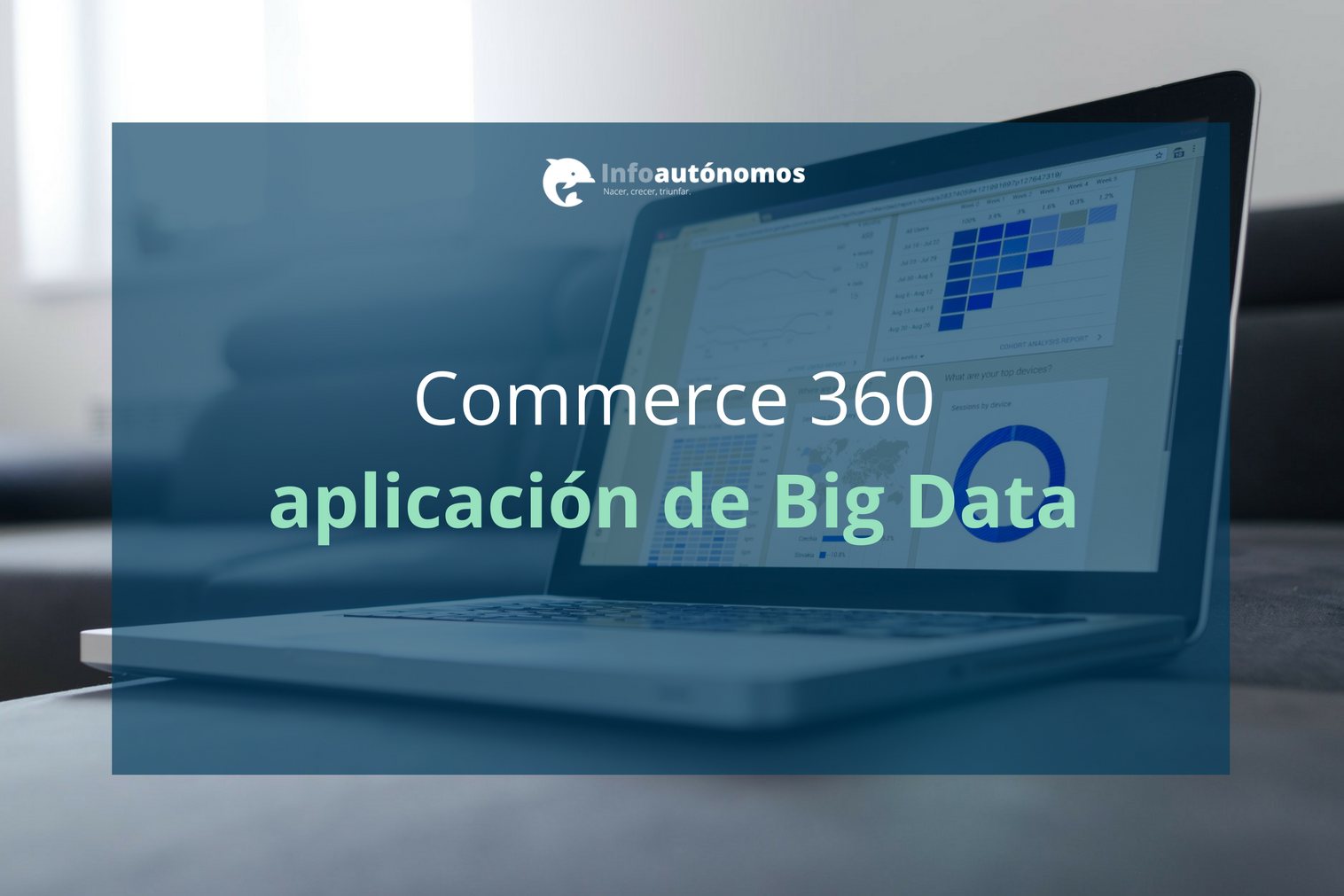 Qué es Commerce 360
